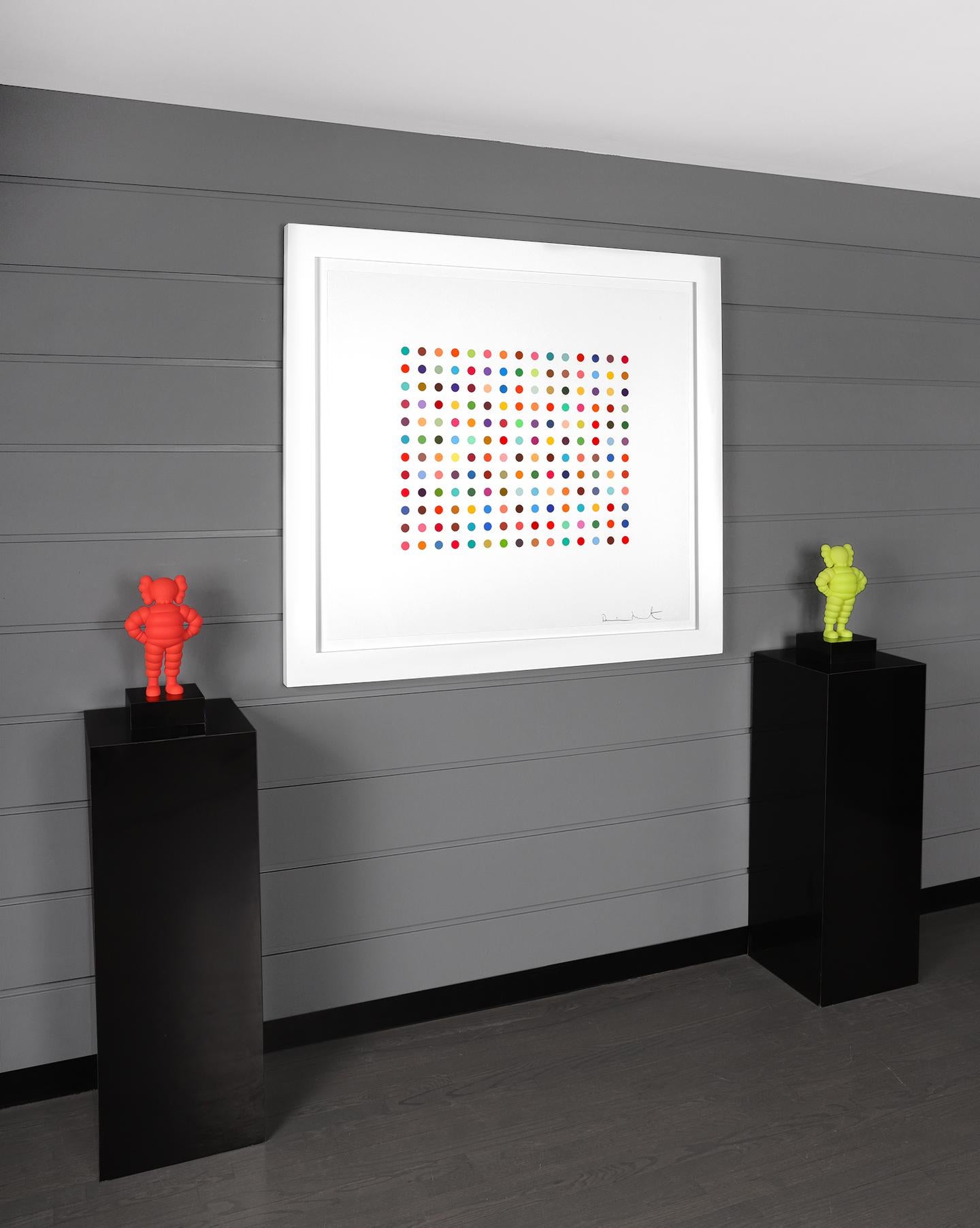 Damien Hirst - Damien Hirst, 'Pyronin Y' Etching, 2005 For Sale at 1stDibs