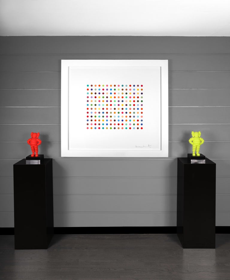 Damien Hirst - Damien Hirst, 'Pyronin Y' Etching, 2005 For Sale at 1stDibs