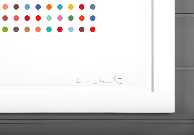 Damien Hirst - Damien Hirst, 'Pyronin Y' Etching, 2005 For Sale at 1stDibs