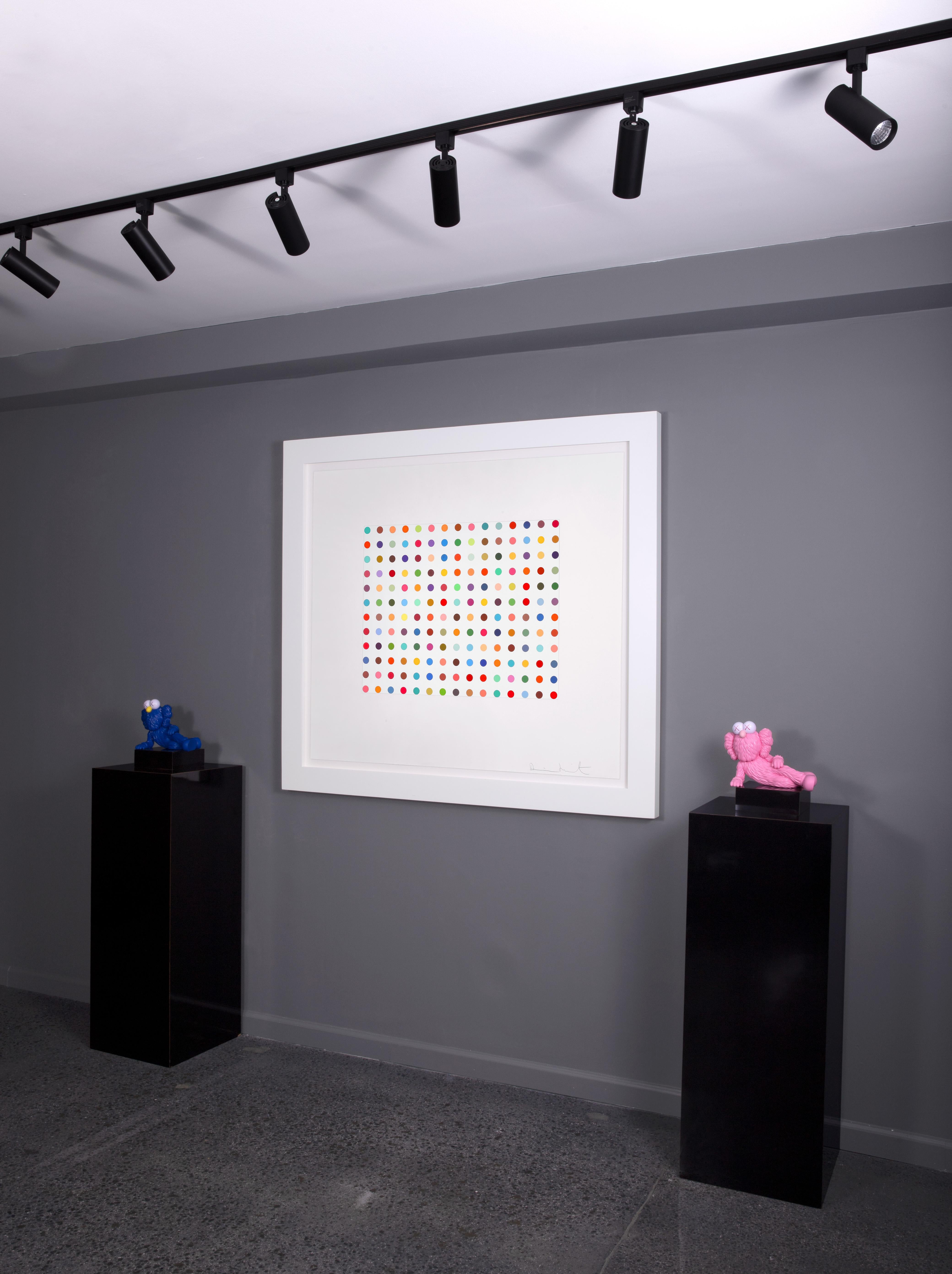 Damien Hirst - Damien Hirst 'Pyronin Y' Limited Edition Spots Etching ...