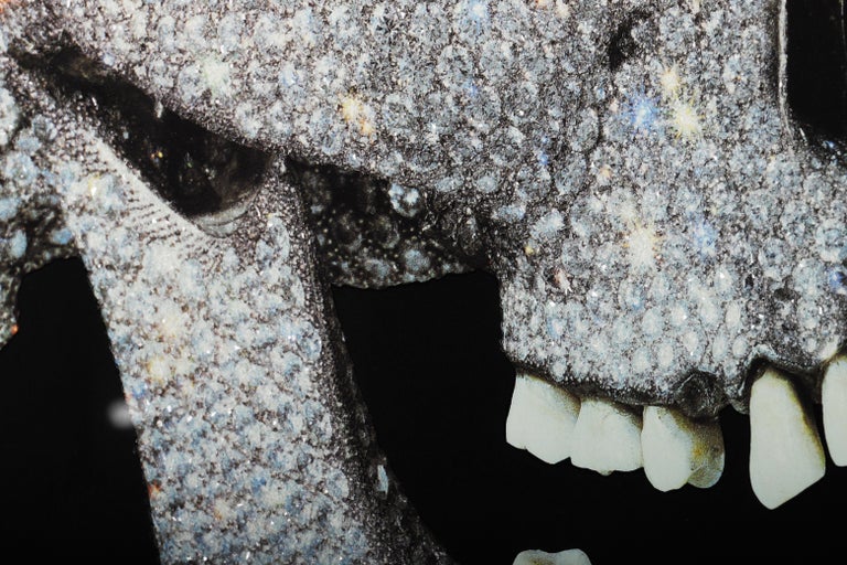Damien Hirst - 'For the Love of God' Skull with Diamond Dust For Sale ...