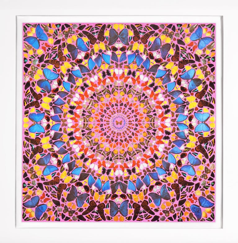 Damien Hirst - Pink Butterfly 'Cathedral Print, Palais des Papes' with ...
