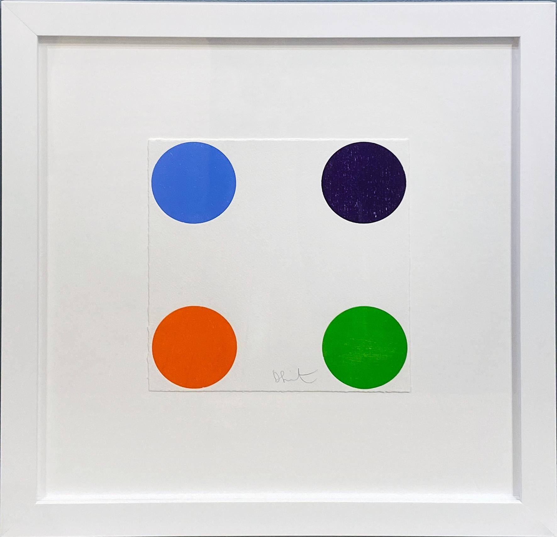 Damien Hirst - Probucol at 1stDibs | damien hirst print