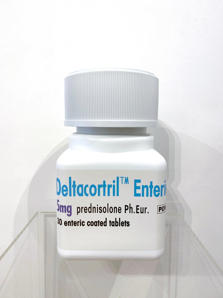 Damien Hirst - Deltacortril Enteric 5mg 30 enteric coated tablets For ...