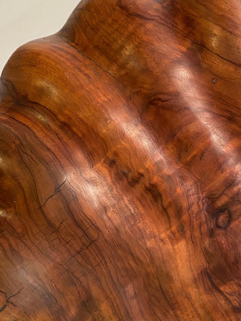 Dan Harner Scallop Shell Carved Wood Catch All For Sale at 1stDibs