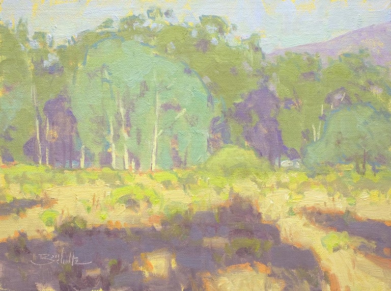 Dan Schultz - Sun Bleached; Ojai, California at 1stDibs | dan schultz ...