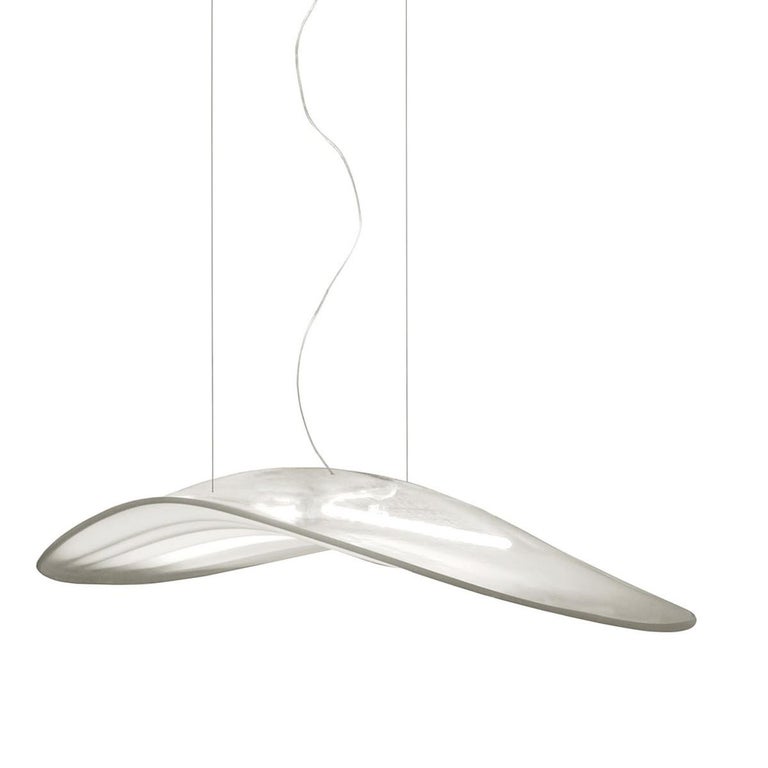 Danese R.Ray Suspension Light by Ross Lovegrove For Sale at 1stDibs