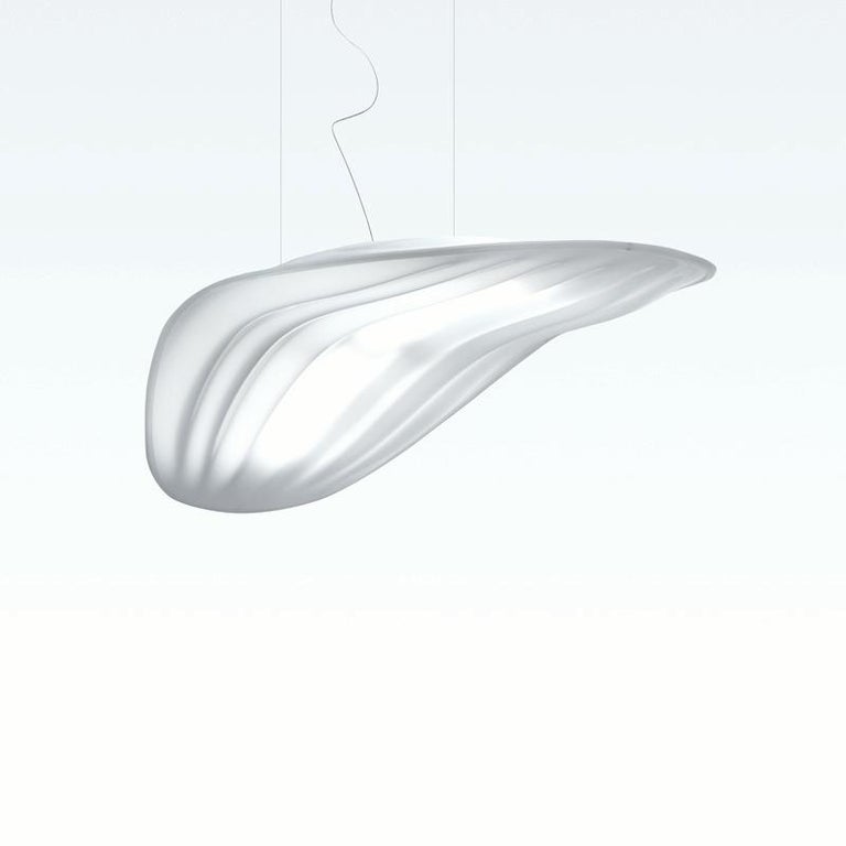 Lampe à suspension Danese R.Ray de Ross Lovegrove En vente sur 1stDibs