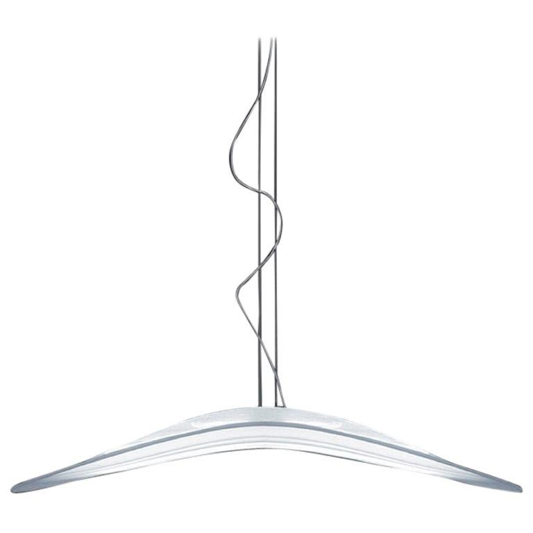 Danese R.Ray Suspension Light by Ross Lovegrove For Sale at 1stDibs