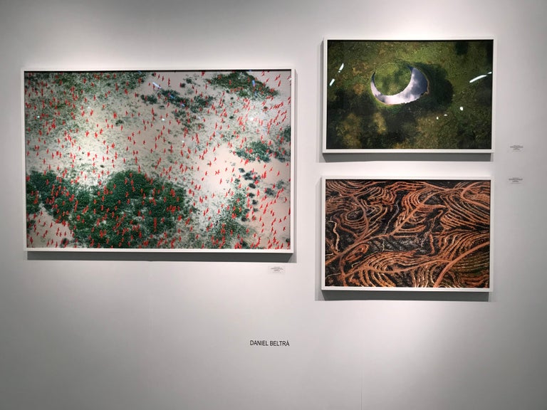 Daniel Beltrá - Indonesia new palm terraces (#9) For Sale at 1stDibs