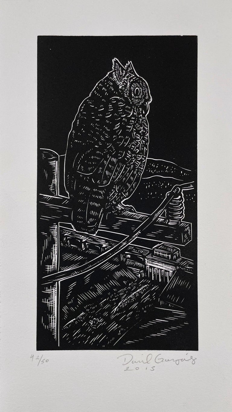 Daniel Gonzalez - Owl, by Daniel Gonzalez For Sale at 1stDibs