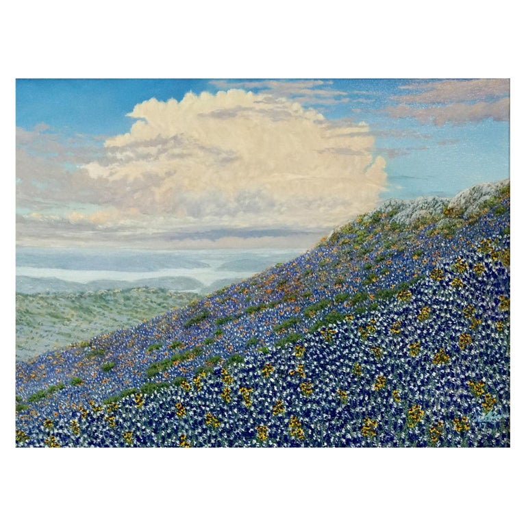 Daniel Kendrick Texas Bluebonnets "The Magic Carpet" at 1stDibs