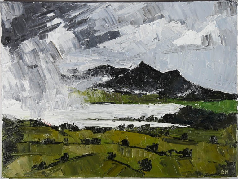 Daniel Nichols - Daniel Nichols After Kyffin Williams - Contemporary ...