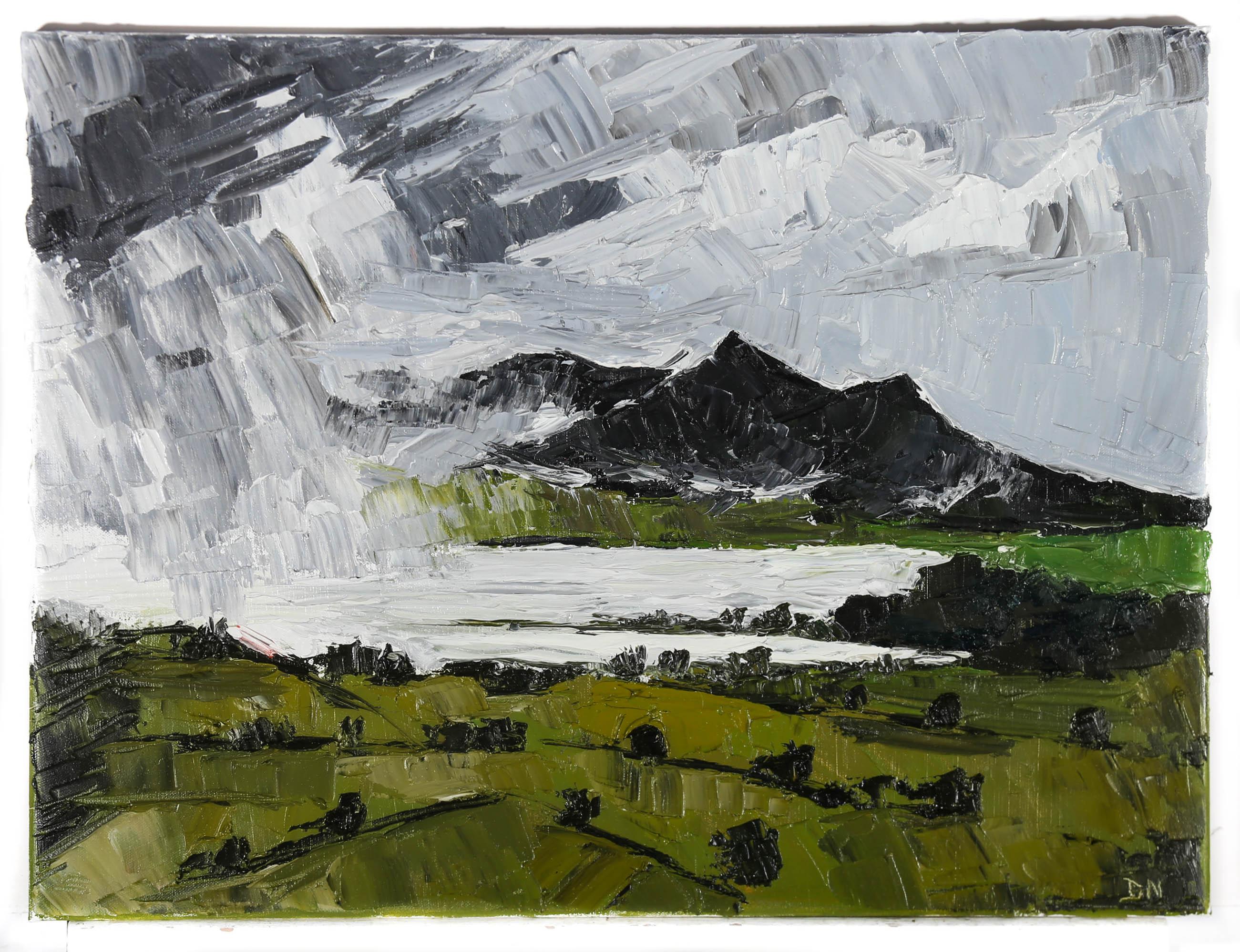 Daniel Nichols - Daniel Nichols After Kyffin Williams - Contemporary ...