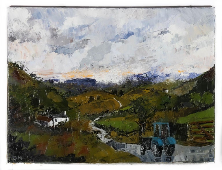 Daniel Nichols - Daniel Nichols - Contemporary Oil, Welsh Farmland For ...
