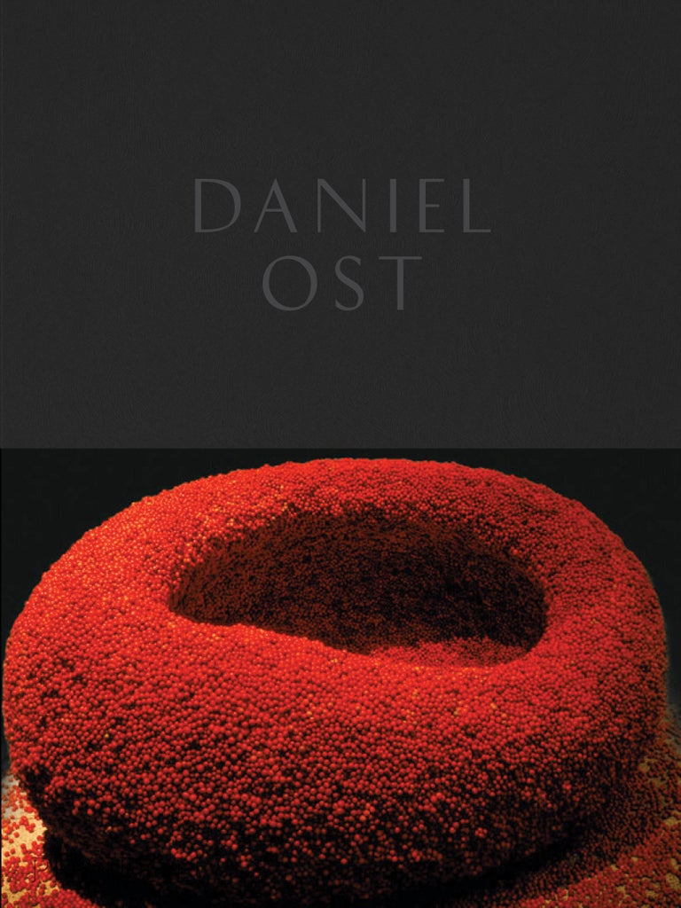 Daniel Ost Book For Sale at 1stDibs