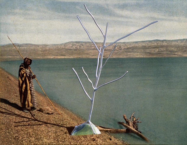 Daniel Rothbart - Artifact For Sale at 1stDibs