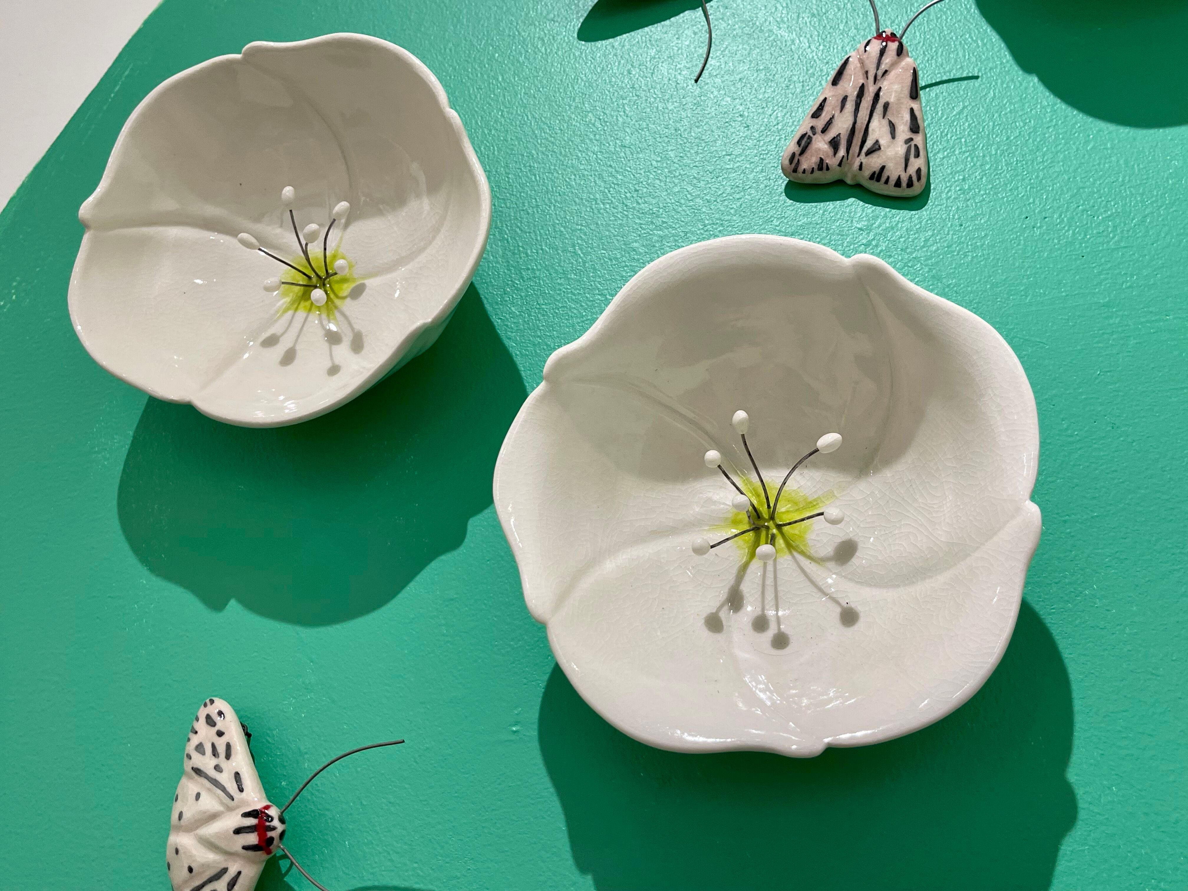 Danielle Inabinet - Nocture in Transcience: Tiger Arge Moths (sold ...