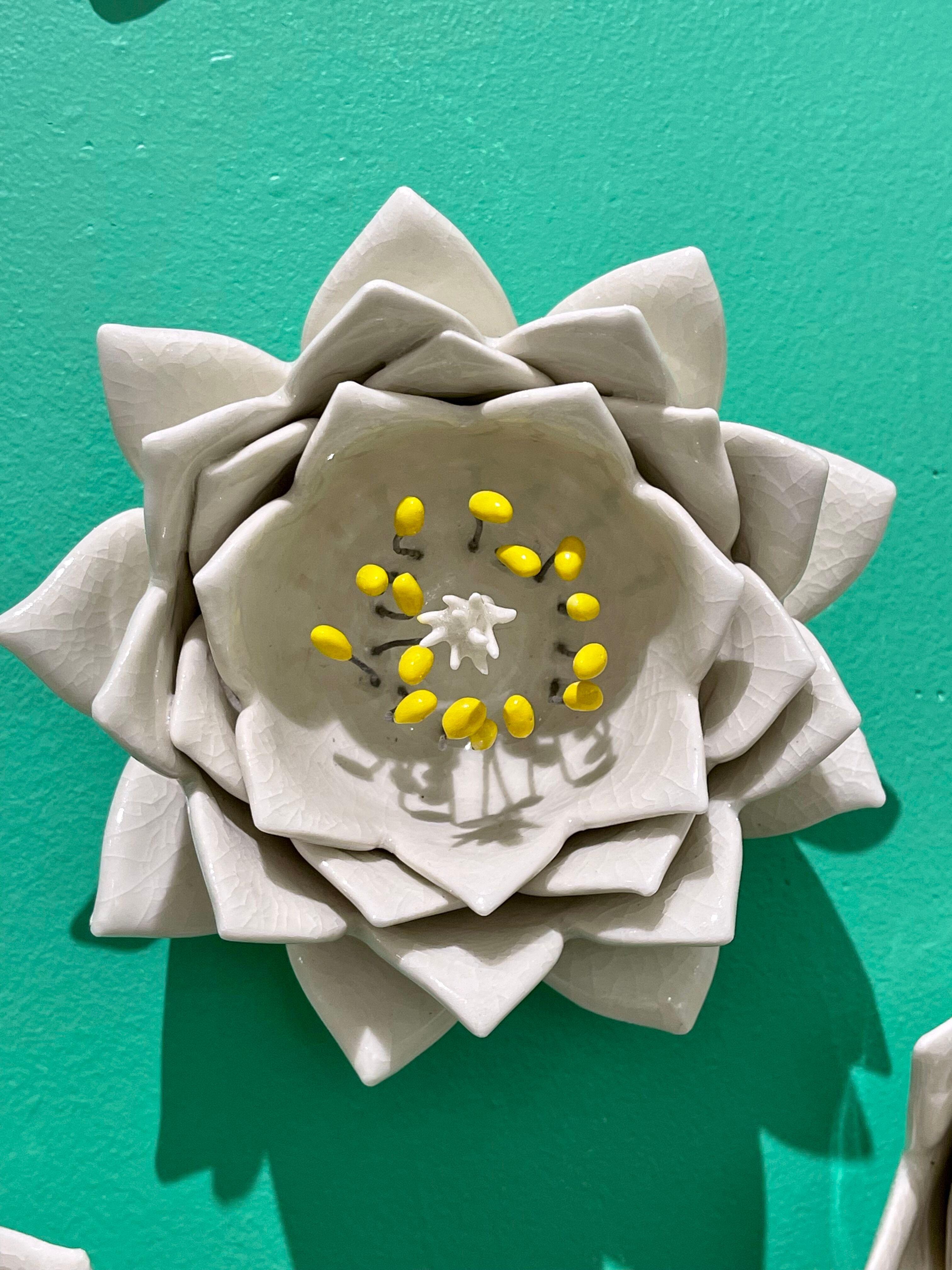 Danielle Inabinet - Nocture in Transcience: Night Blooming Cereus (sold ...