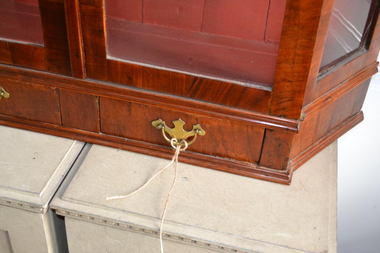 Danish 18th Century Walnut Veneer Wall Vitrine Display Case For Sale at ...