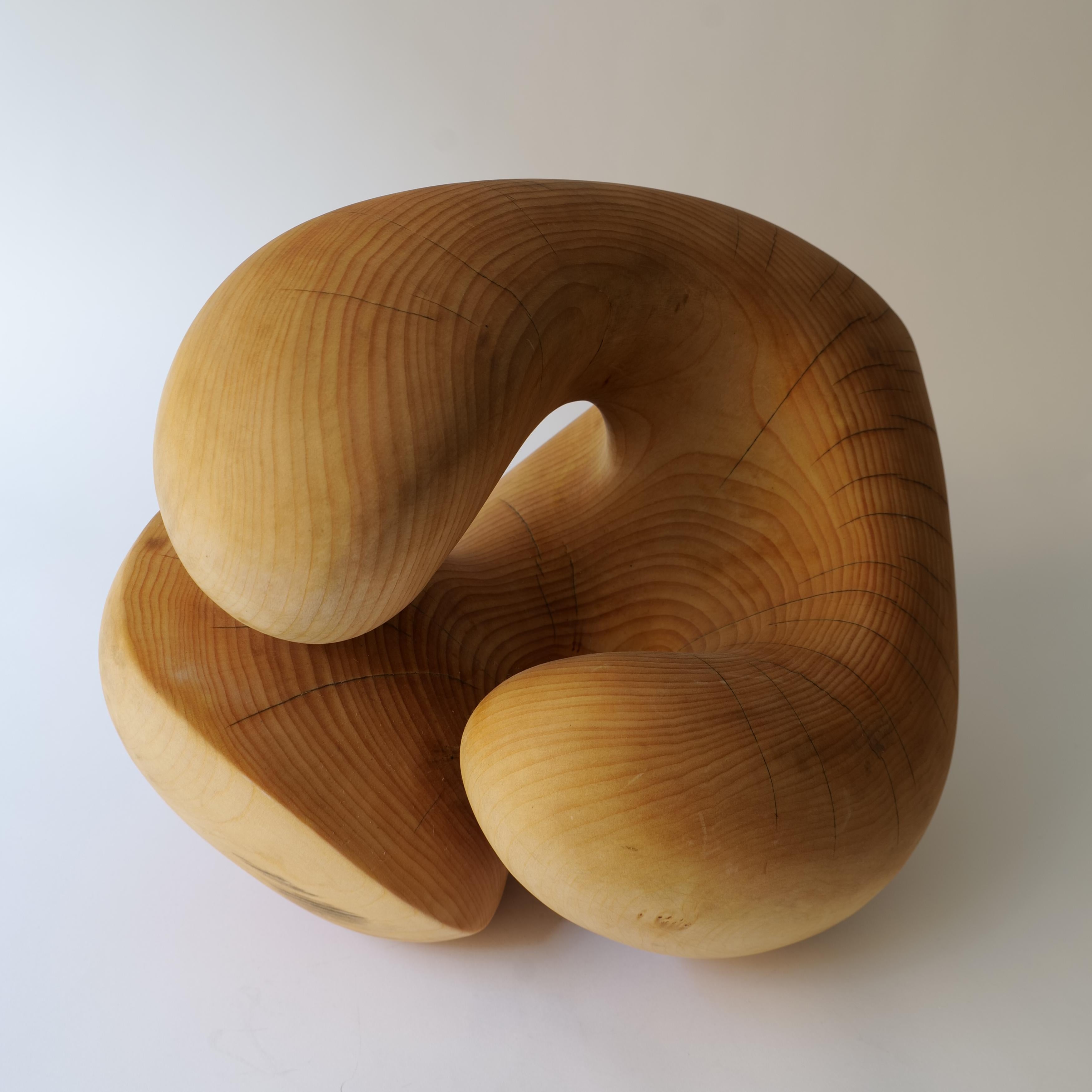 Danish Mid Century Free Form Wood Sculpture For Sale at 1stDibs