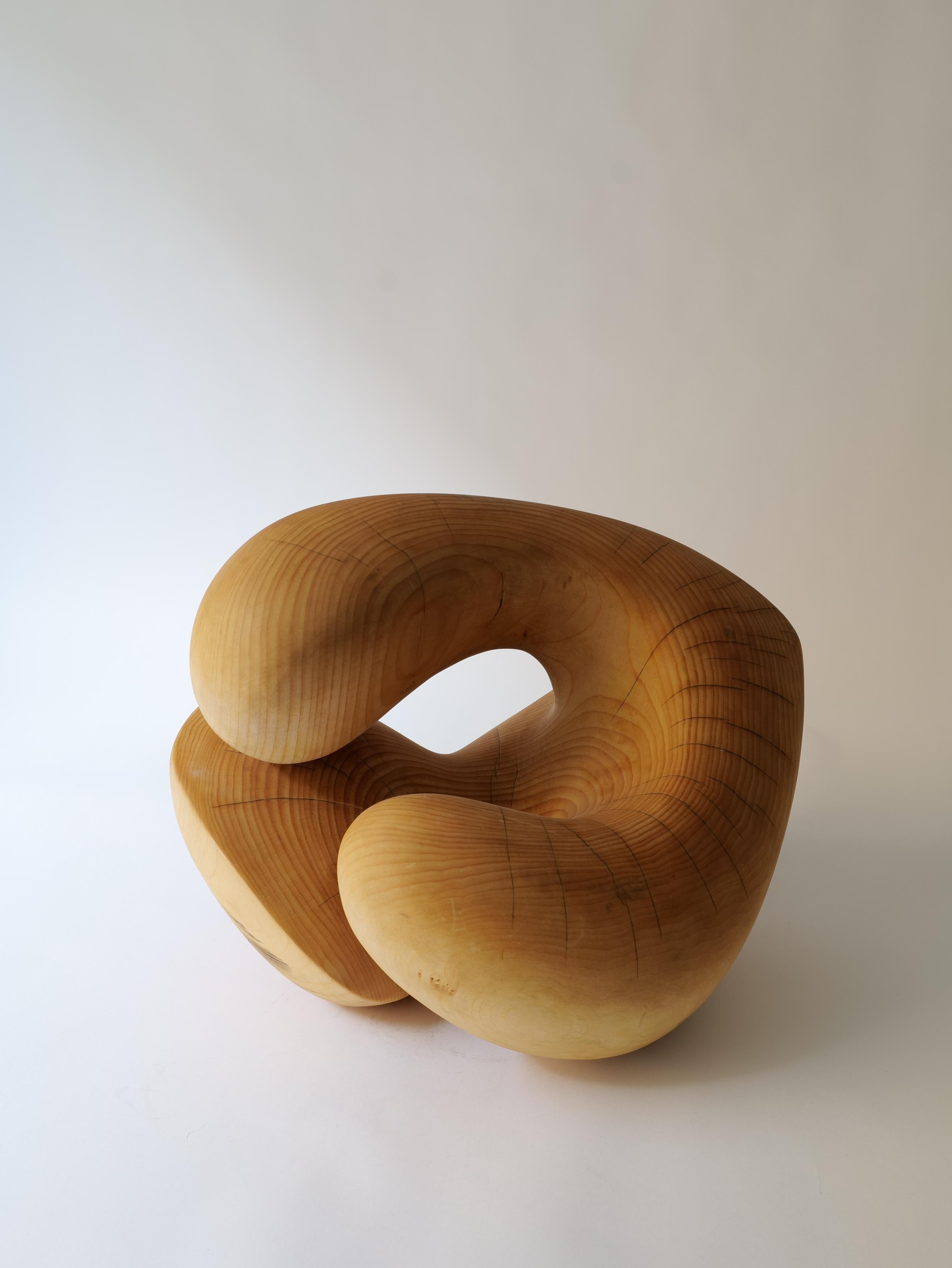 Danish Mid Century Free Form Wood Sculpture For Sale at 1stDibs