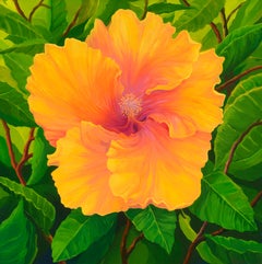 Dante Rondo Paintings - 20 For Sale on 1stDibs