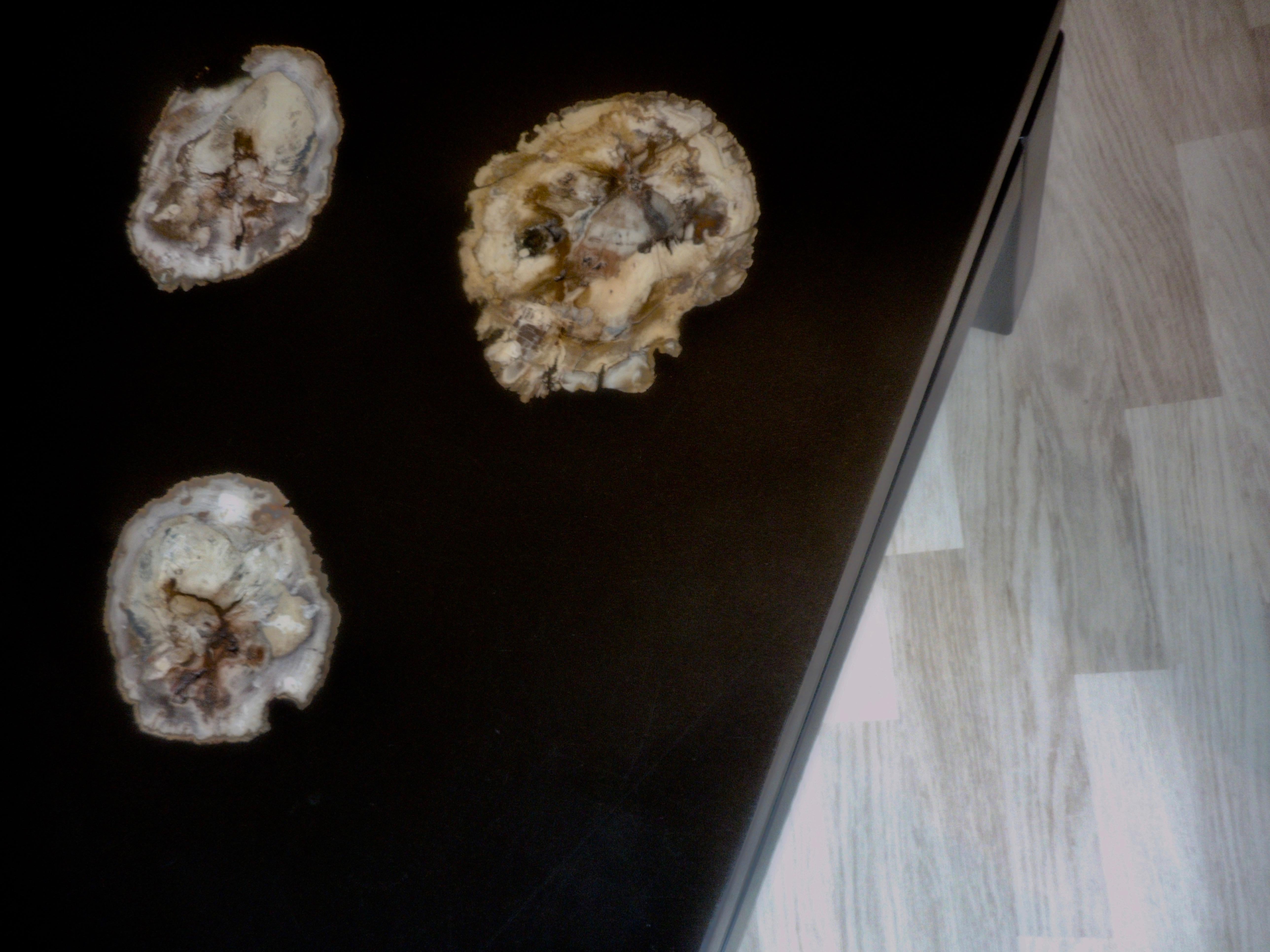 Dark Brown Resin Table with Petrified Wood Inclusions, Belgium, 1970 at ...