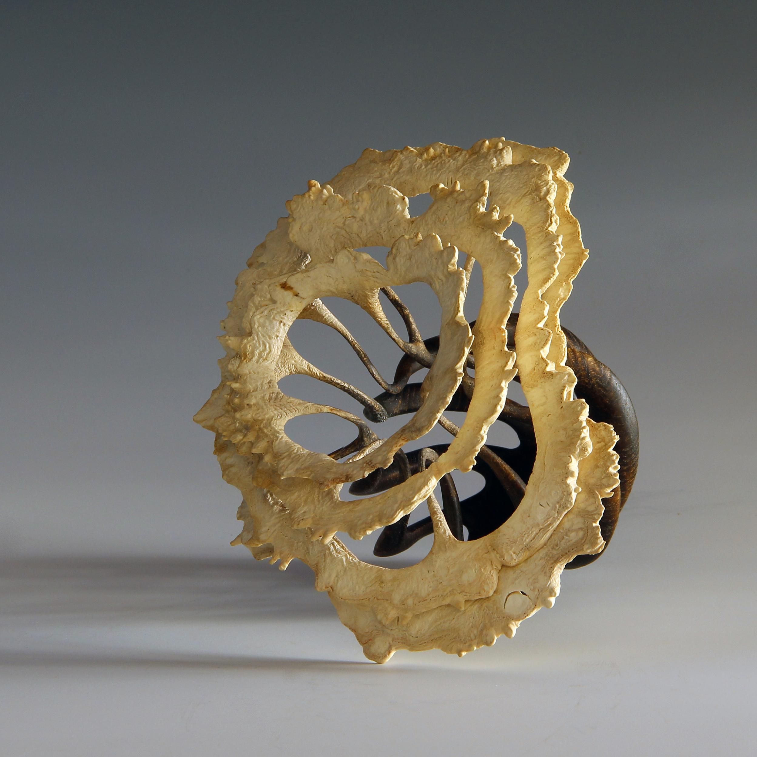 Dark Shell Tree by Alain Mailland wood sculpture For Sale at 1stDibs