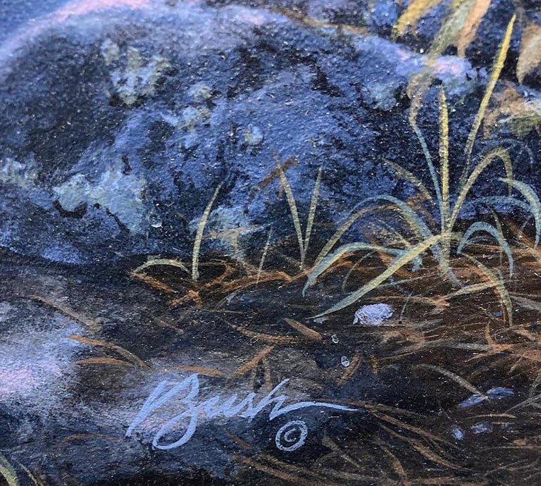 Darrell Bush - Darrell Bush, "On Higher Ground", Canoe Sunset Lake ...