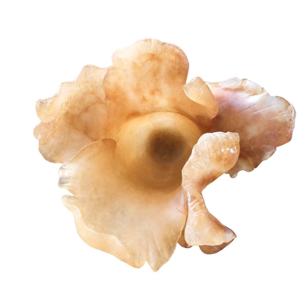 Daum Amber Champagne Leaded Art Glass Pate de Cristal Tulip Vase, Large ...