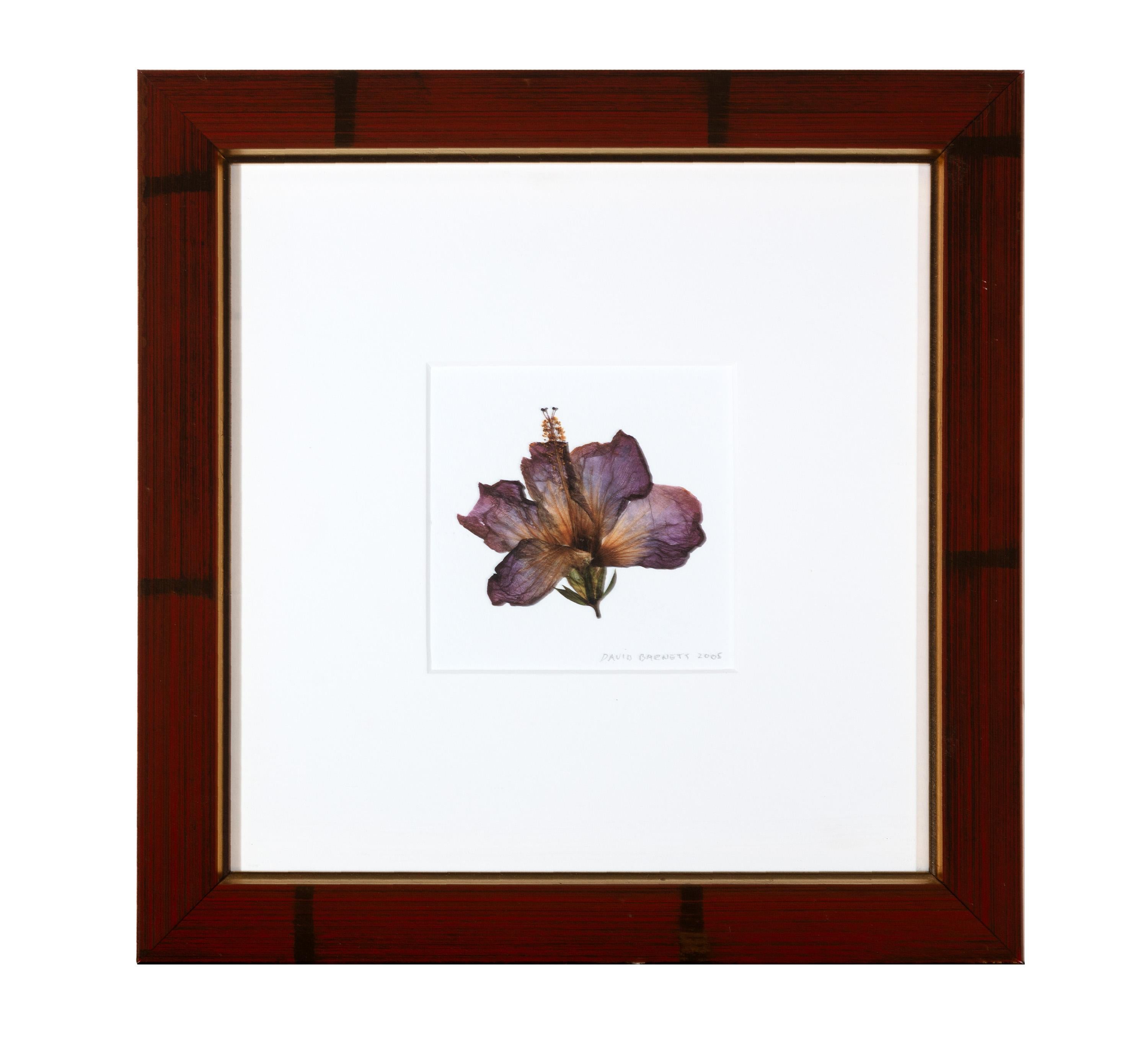 David Barnett Art - 392 For Sale at 1stDibs | dave barnet, barnett ...