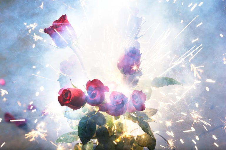 David Drebin - Fire And Roses, Lightbox (48" x 72") For Sale at 1stDibs