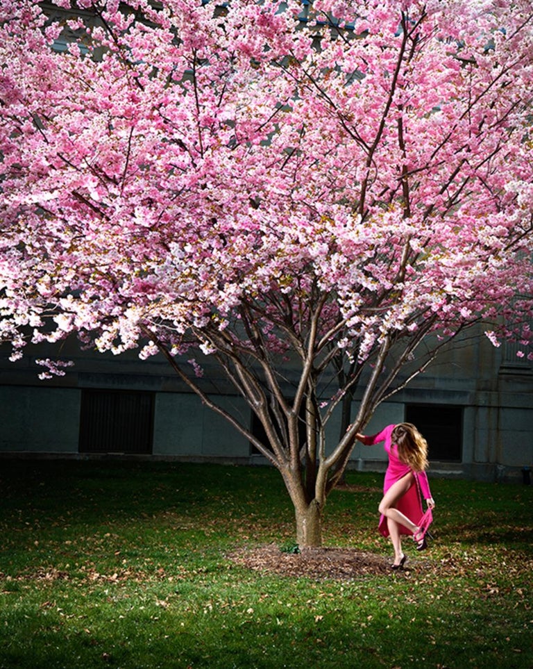 David Drebin - Pink Moment (60" x 48") For Sale at 1stDibs
