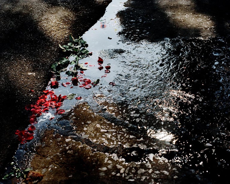 David Drebin - Roses (30" x 37.5") For Sale at 1stDibs