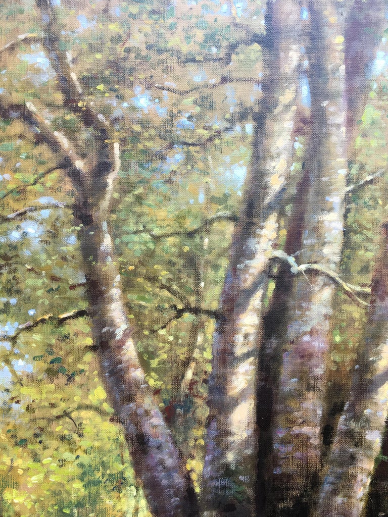 David Garcia - Clump of beechs For Sale at 1stDibs