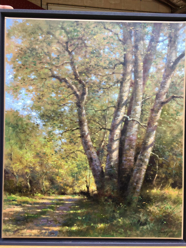 David Garcia - Clump of beechs For Sale at 1stDibs