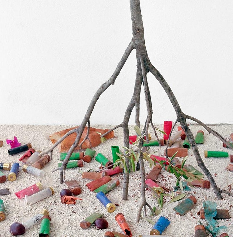 David Halliday - Bougainvillea and Shotgun Shells: Still Life ...