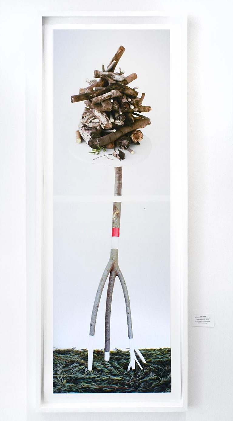David Halliday - Olive Wood and Lavender Greens: Framed Figurative ...