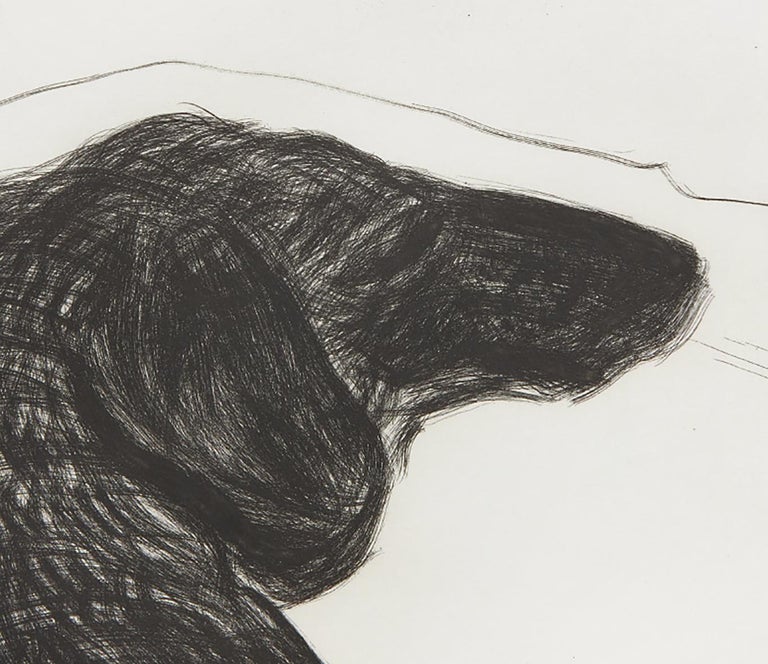 David Hockney - Dog Etching No.6, from Dog Wall at 1stDibs | david ...