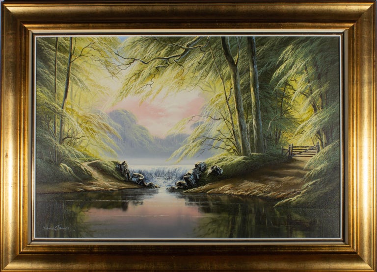 David James - David James - Contemporary Oil, Weir at Sunset at 1stDibs
