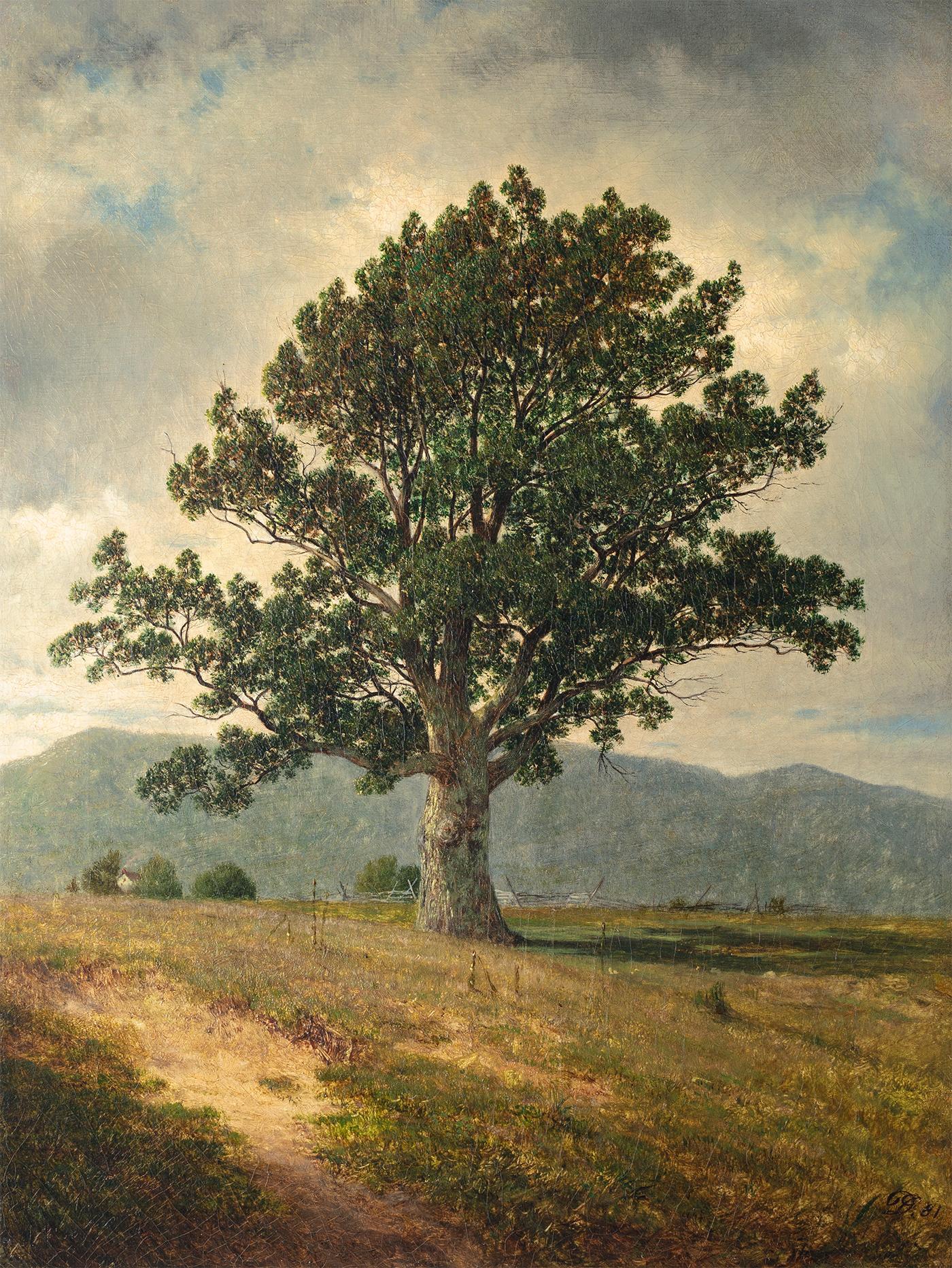 David Johnson - Morning at 1stDibs