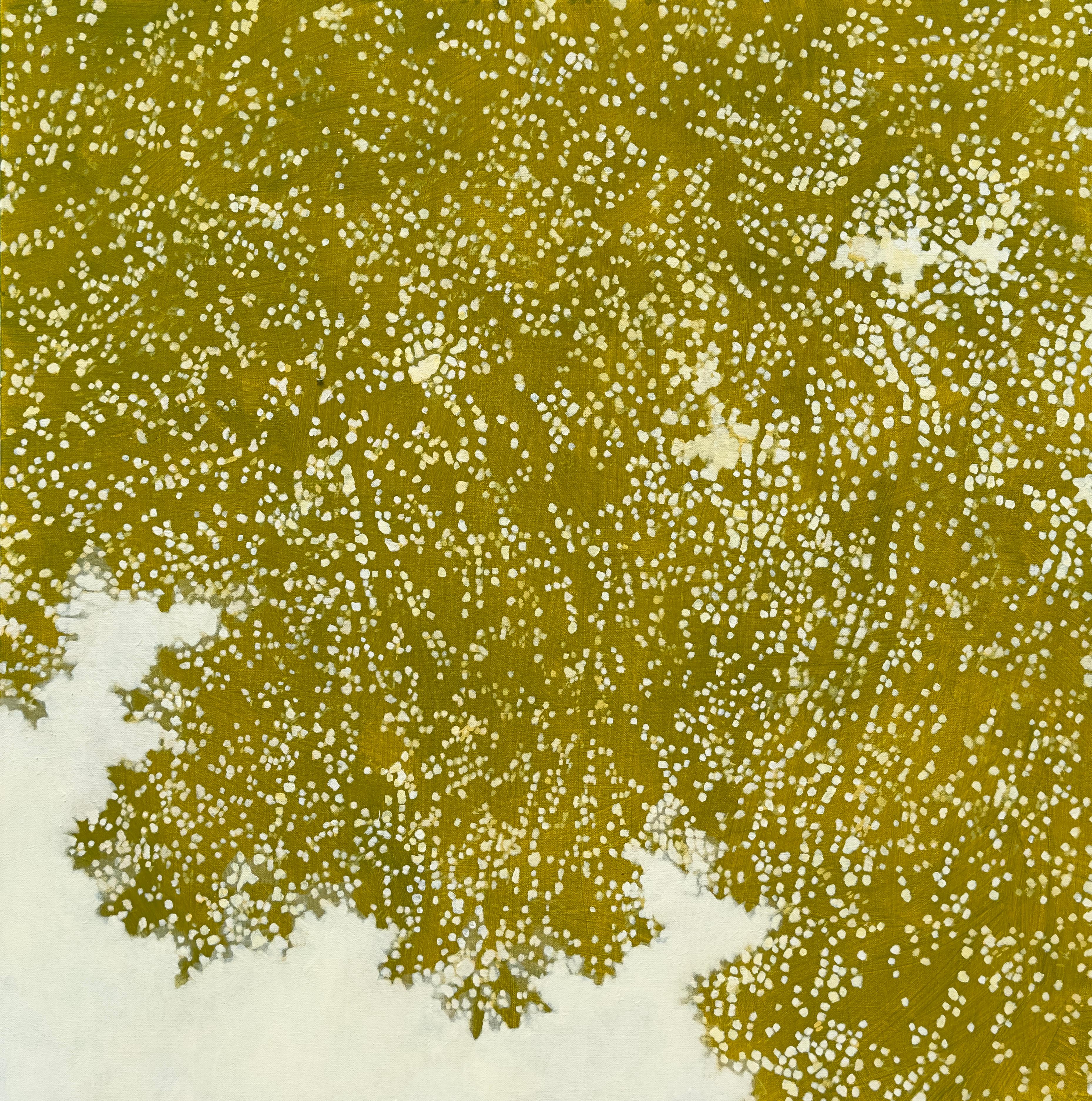 David Kidd - Leaves in Shadows For Sale at 1stDibs