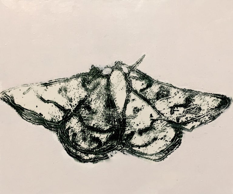 David Konigsberg - Moth Three, Insect Monotype Painting, Dark Gray ...