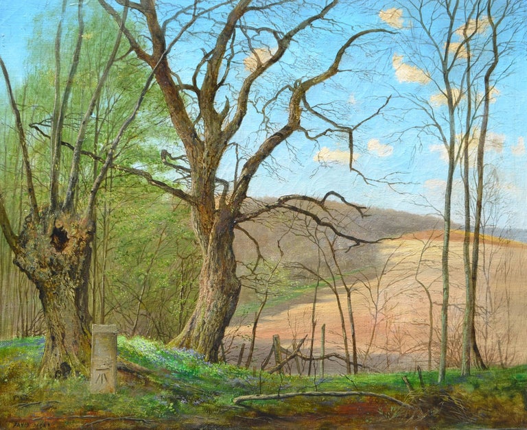 David Mead - Wild Violets - Landscape, Oil on board, 20th Century For ...