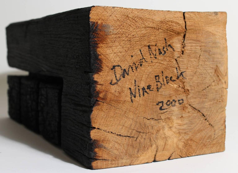 David Nash "Nine Block" Minimalist Abstract Sculpture For Sale at 1stDibs