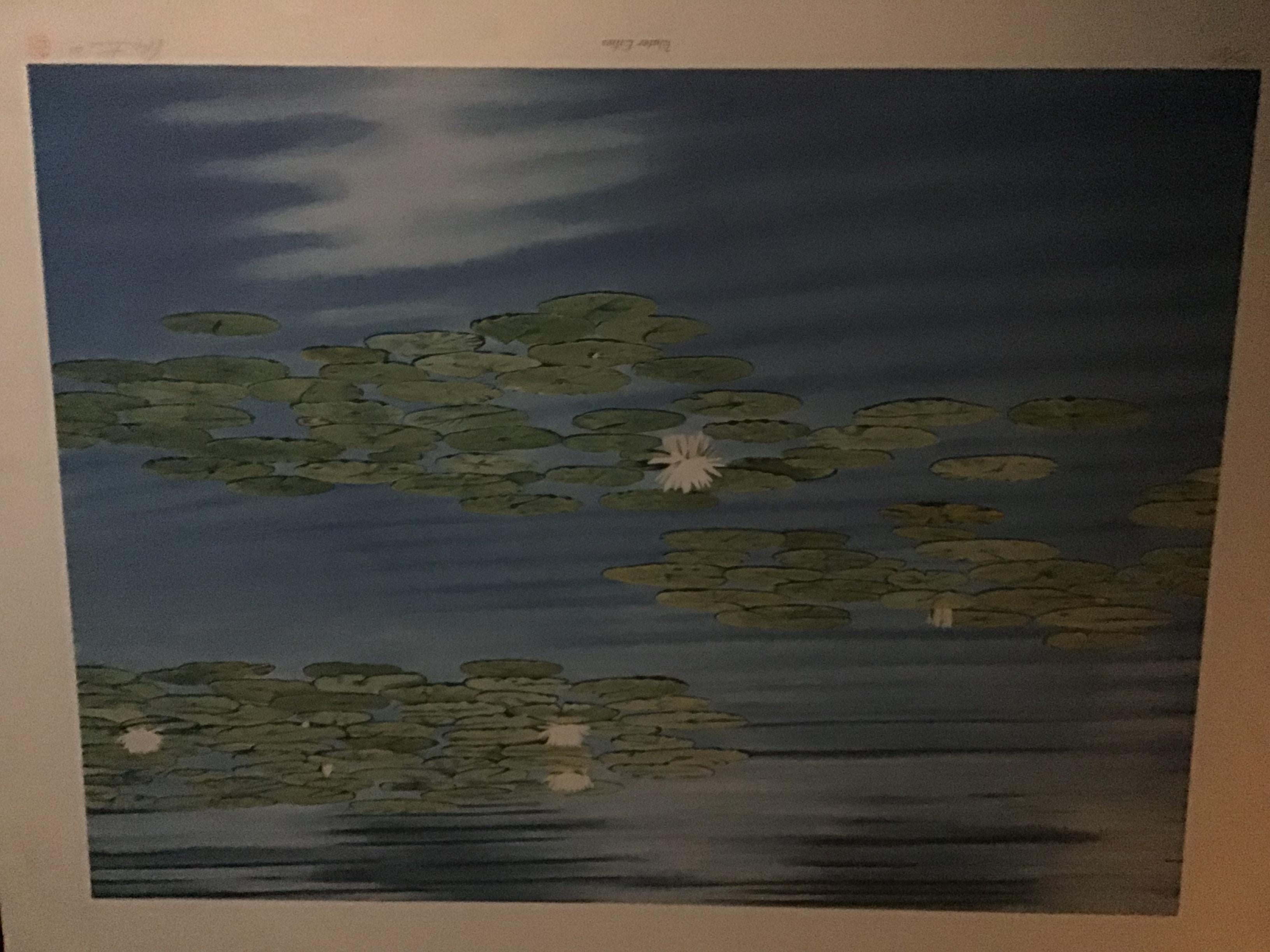 David Prentice - water lillies For Sale at 1stDibs