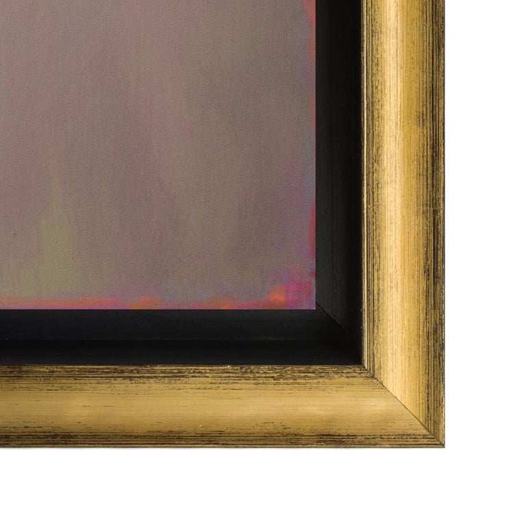 David Rothermel - "Exponent" Yellow, Red, Black and Brown Color ...