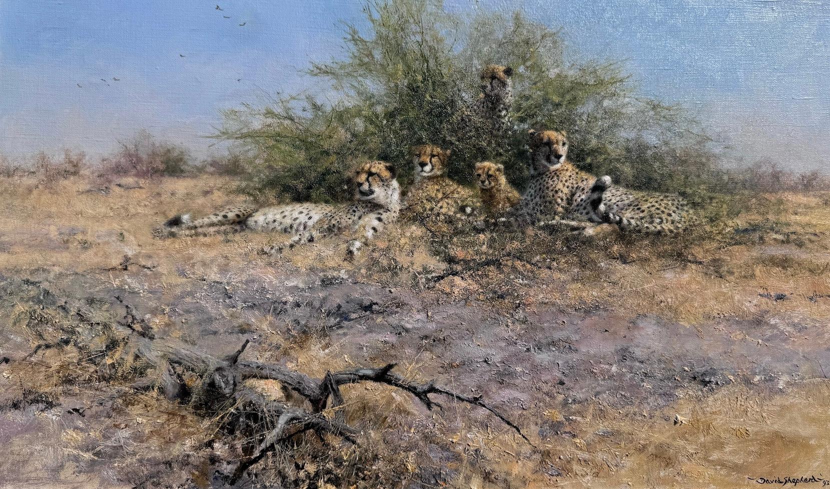Cheetah Paintings - 76 For Sale on 1stDibs | cheetah oil painting ...