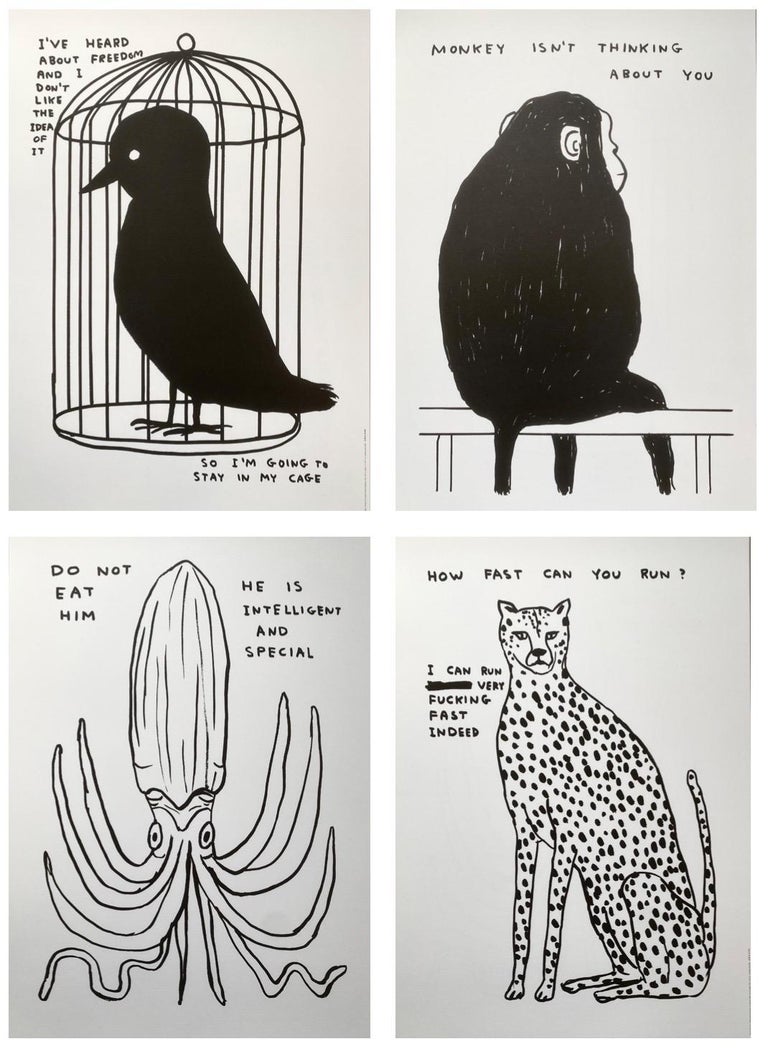 David Shrigley - Animals and Existentialism (Full Set) For Sale at 1stDibs